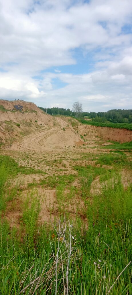Dağ zirvesi Гора Лисья, Novosibirskaya oblastı, foto