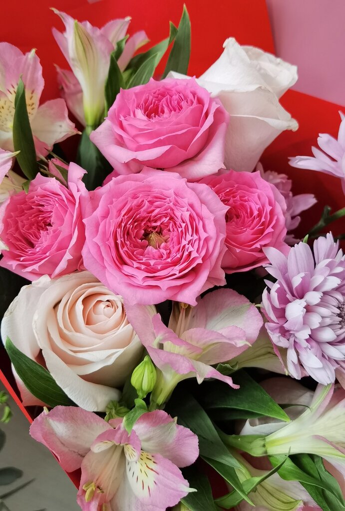 Çiçekçiler Procvety, Moskova ve Moskovskaya oblastı, foto