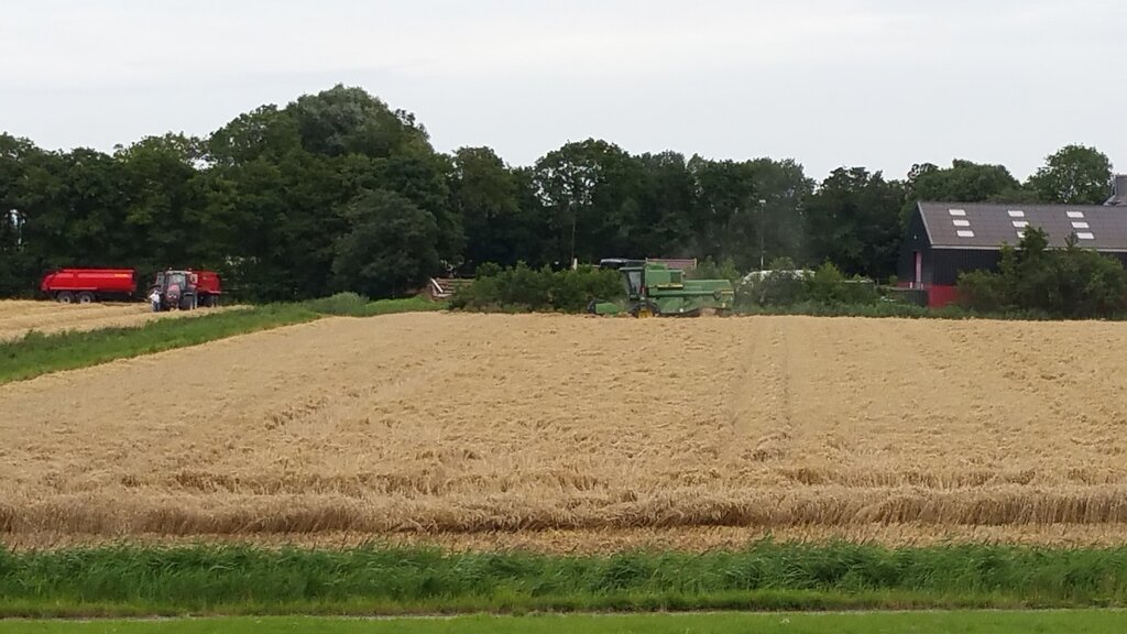 Sağlık merkezleri Noorderbreedte State De Parrebeam, Friesland, foto