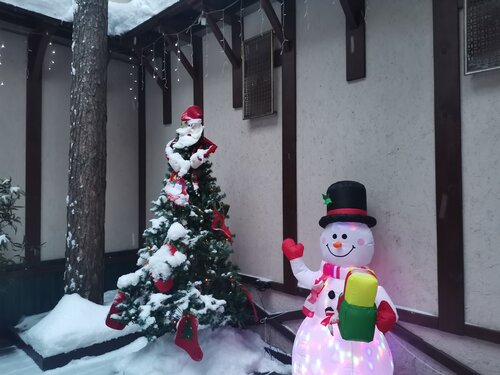 Resort oteller, tesisler Usadba Barskie sosny, Tomskaya oblastı, foto