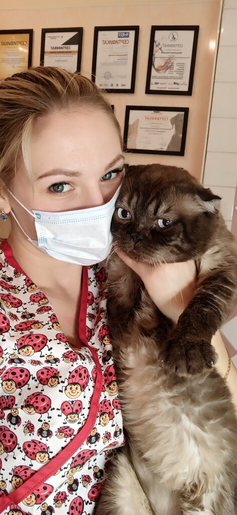 Veteriner klinikleri Clinic of Veterinary Care of Dr. Zubkov, Taganrog, foto