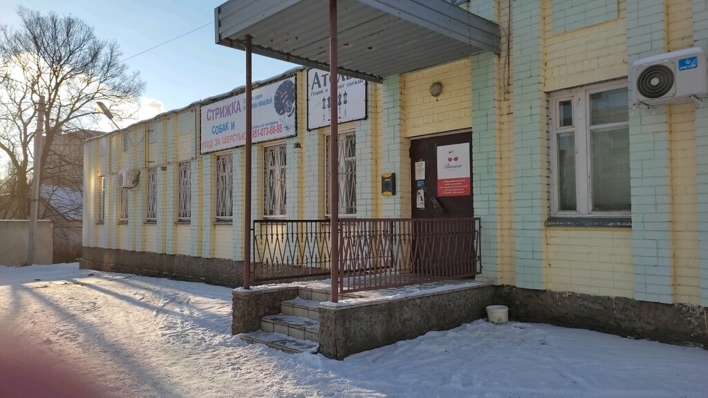 Evcil hayvan kuaförleri Стрижка собак, Kursk, foto