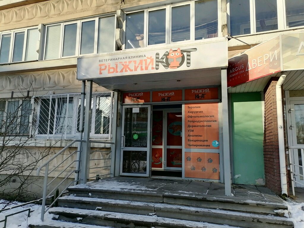 Veteriner klinikleri Рыжий кот, Nijni Novgorod, foto