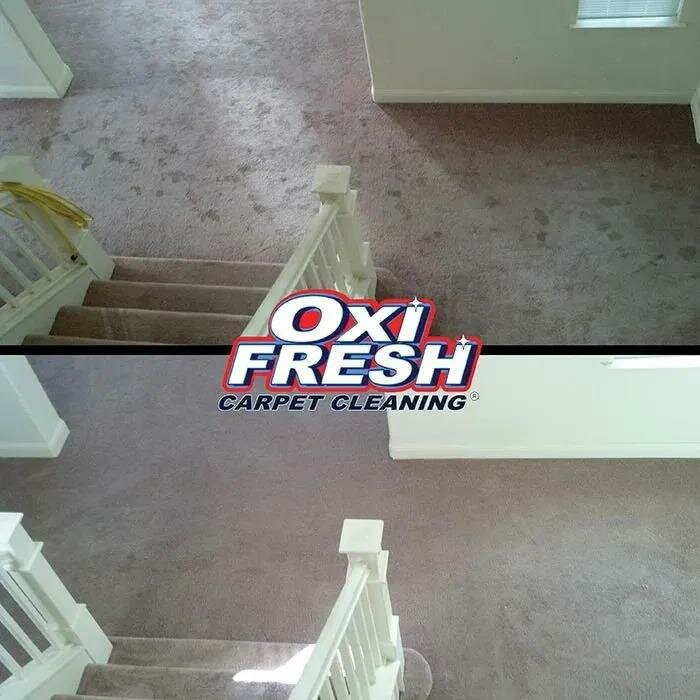 Halı yıkamacılar Oxi Fresh Carpet Cleaning, Baton Rouge, foto