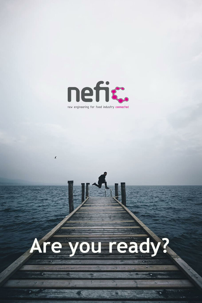 Mühendislik firmaları Nefic - Nefi Connected SL, Sevilla, foto
