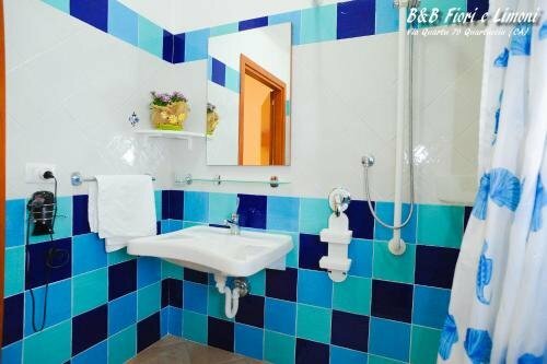 Otel Bed and Breakfast Fiori e Limoni, Sardunya, foto