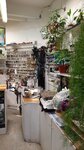 Дом быта (Guryanova Street No:61), ayakkabı tamiri  Moskova'dan