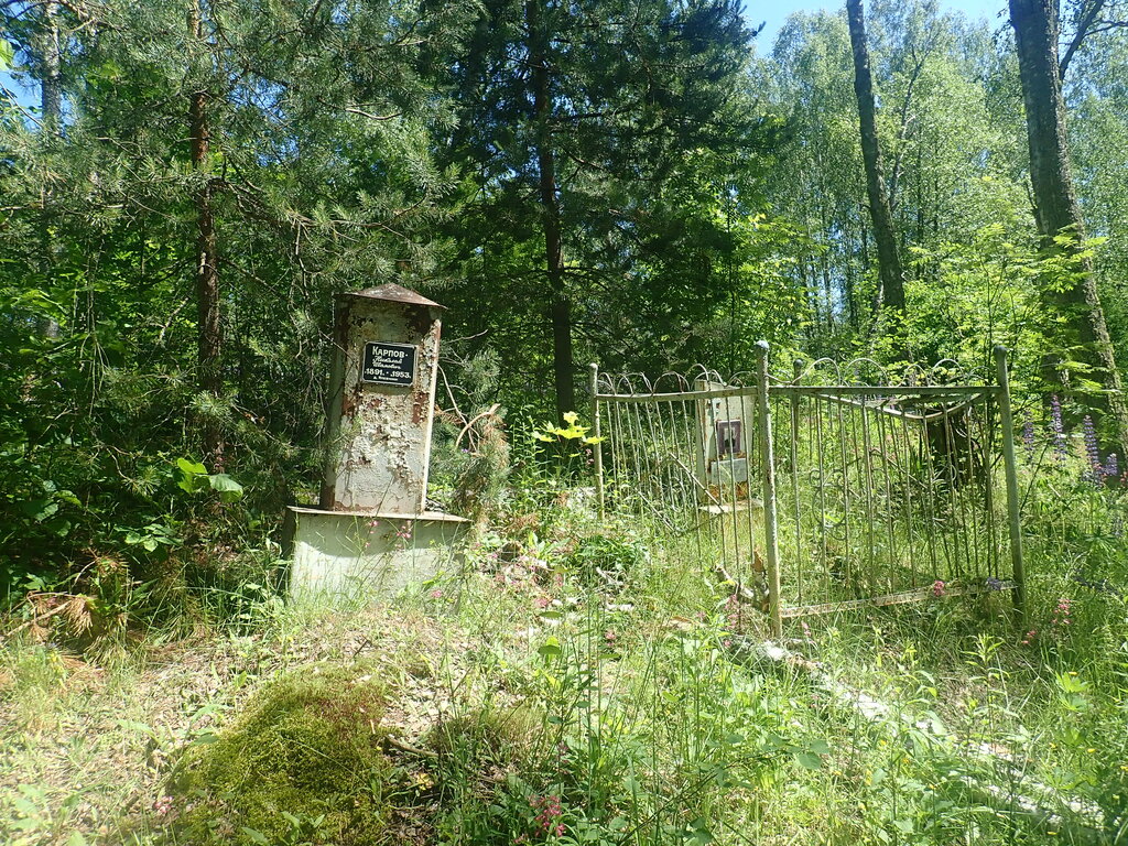 Mezarlıklar Третьяковское кладбище, Vladimirskaya oblastı, foto