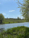 Spring, stream (Lipetsk Region, Dankov), pınar, çay  Dankov'dan