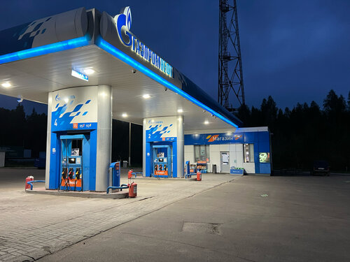 Benzin istasyonu Gazpromneft, Kalujskaya oblastı, foto