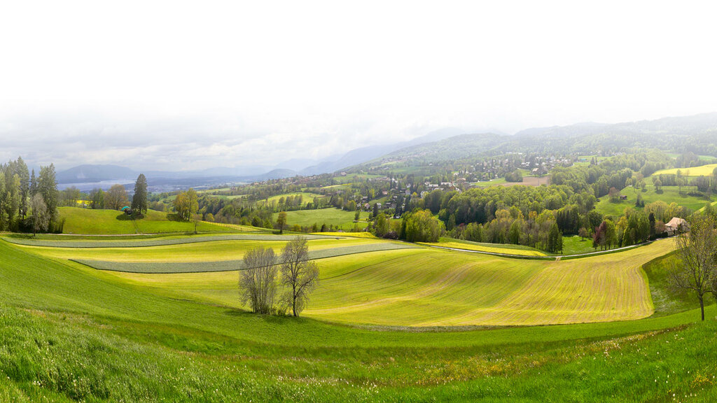 Toptan et ürünleri Fleischer-Innung Heilbronn-Hohenlohe-Schwäbisch Hall, Heilbronn, foto
