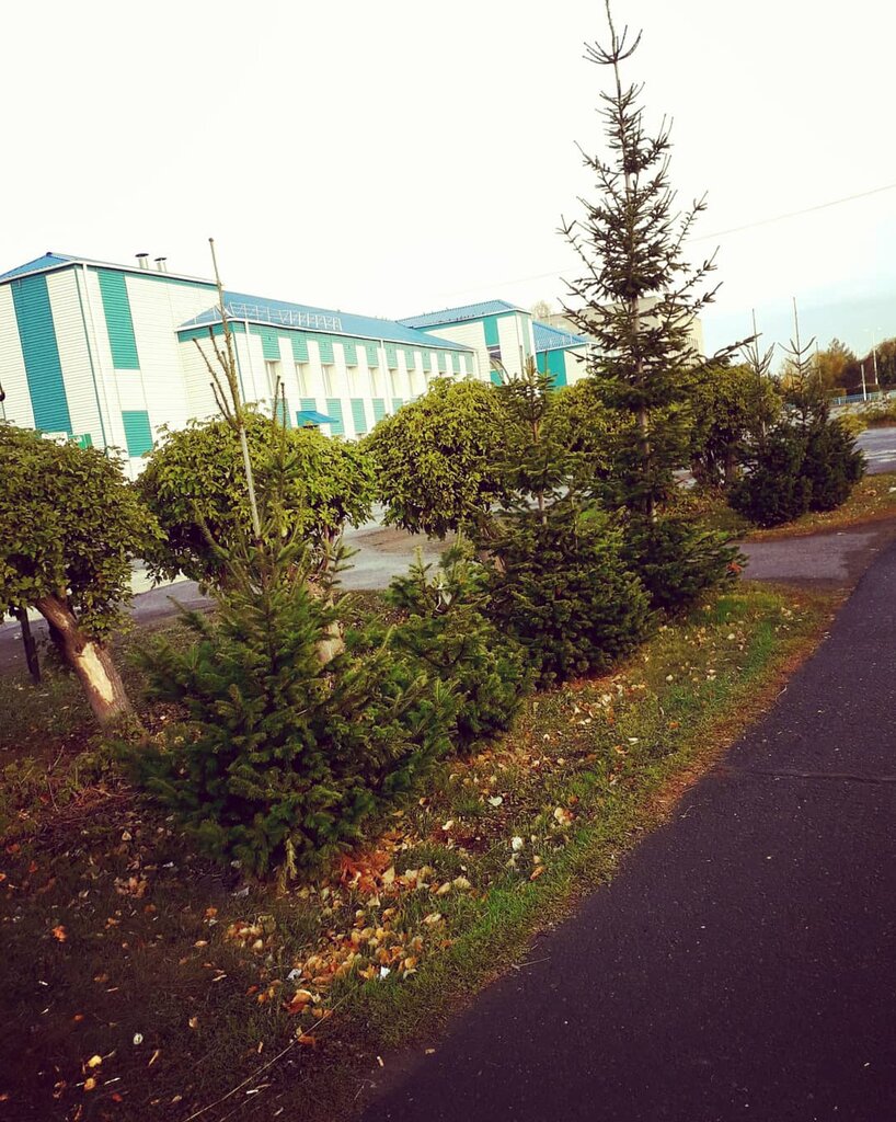 Hastaneler Здвинская Центральная Районная больница, Novosibirskaya oblastı, foto