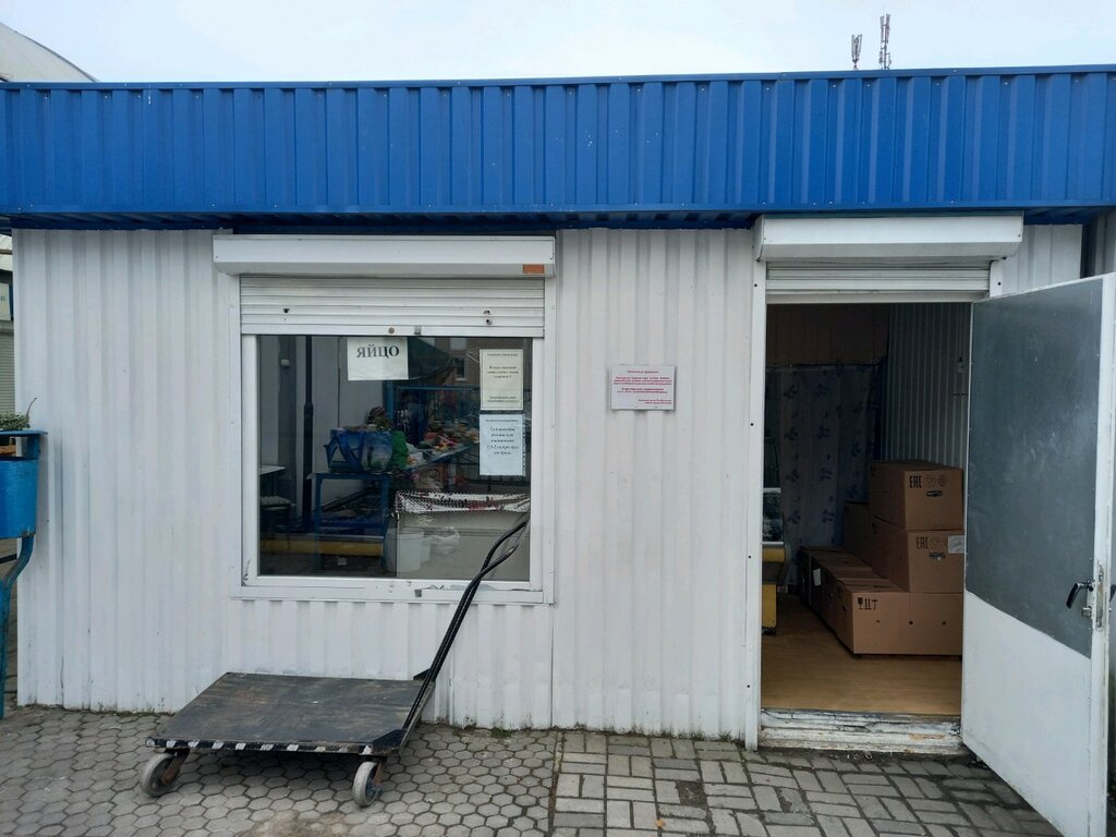 Kanatlı hayvan ürünleri ve yumurta Яйцо и мясо птицы, Moguilev, foto