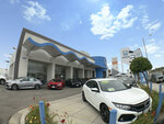 Ocean Honda of Ventura (United States, Ventura, 6450 Auto Center Dr), otomobil satış galerileri  Ventura'dan