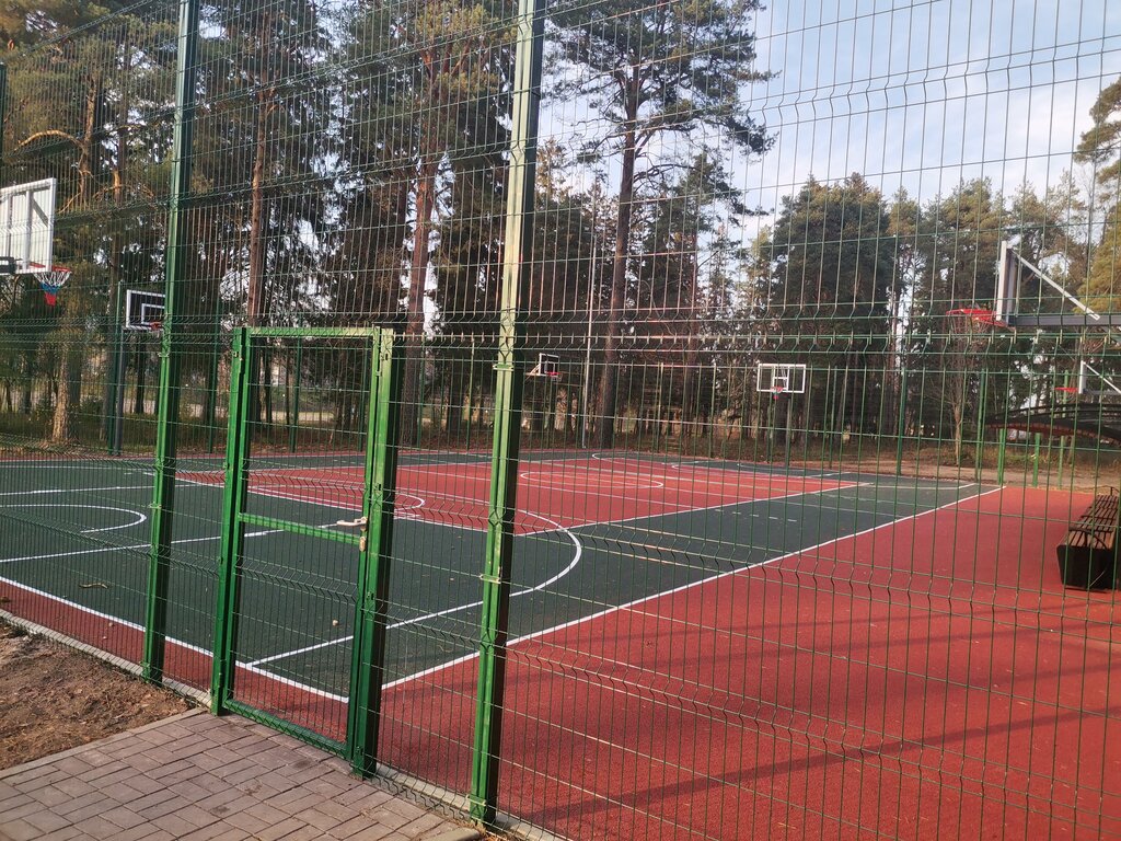 Spor alanı Баскетбольная площадка, Luga, foto