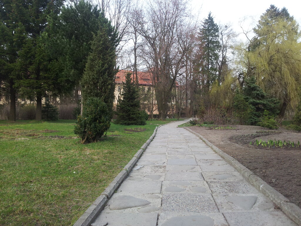 Kültür ve eğlence parkları Botanichesky sad obshchegosudarstvennogo znacheniya Natsionalnogo lesotekhnicheskogo universiteta Ukrainy, Lviv, foto