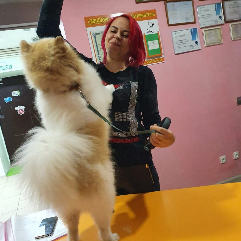 Veteriner klinikleri Зоолайф, Naberejniye Çelny (Yar Çallı), foto