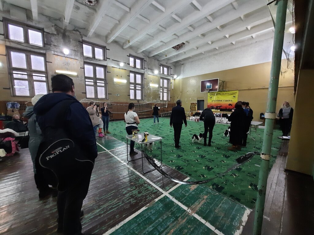 Çok amaçlı spor tesisleri Череповецкий государственный университет, спортивный комплекс, Cherepovets, foto