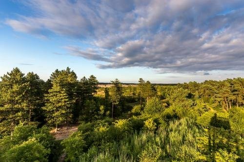 Otel Bungalowpark Het Verscholen Dorp, Gelderland, foto