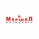 Marshal (Marshala Zhukova Avenue No:21), otomobil yedek parçaları  Saint‑Petersburg'dan