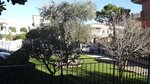 Appartamenti Mimosa (Abruzzo, Teramo, Martinsicuro, Via Capri, 4), otel  Abruzzo'dan