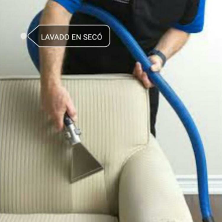 Temizlik şirketleri Lava Expertos Laureles, Medellin, foto