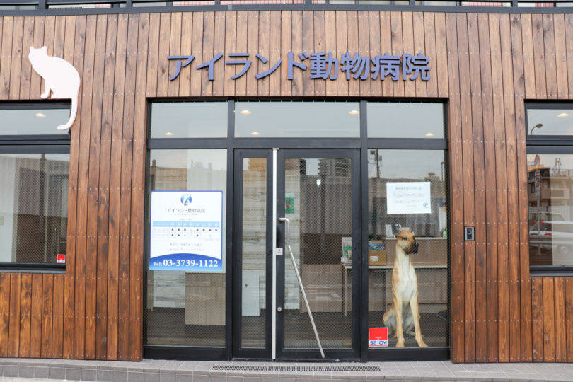 Veteriner klinikleri アイランド動物病院, Tokyo, foto