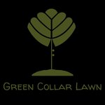 Green Collar Lawn Care Service (United States, Virginia Beach, 3500 Virginia Beach Blvd #420), bahçe ekipmanları ve teknolojileri  Virginia Beach'ten