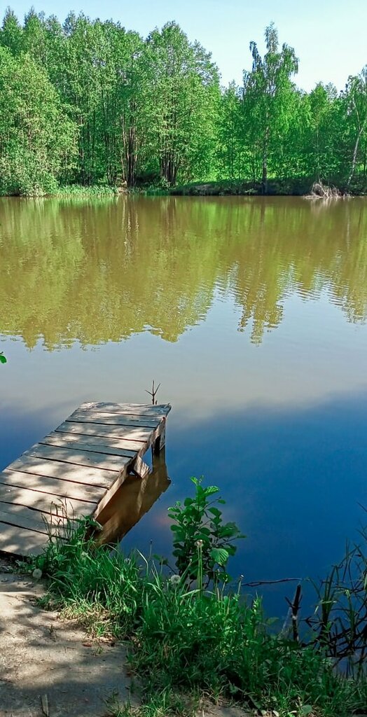 Plaj Пляж, Nijegorodskaya oblastı, foto