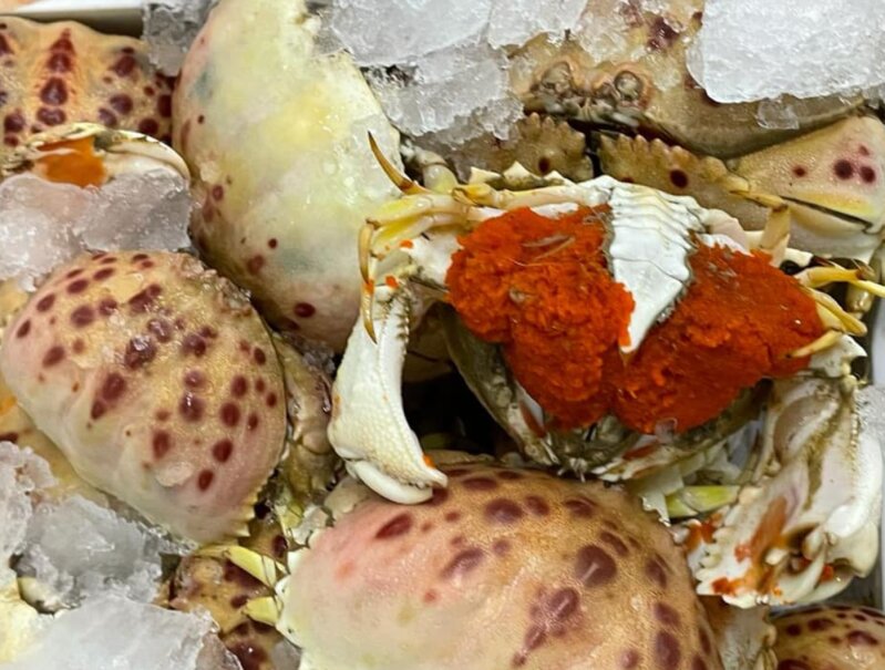 Toptan gıda mağazaları L'Isola dei Surgelati di Antonino Firetto Pescheria, Sicilya, foto