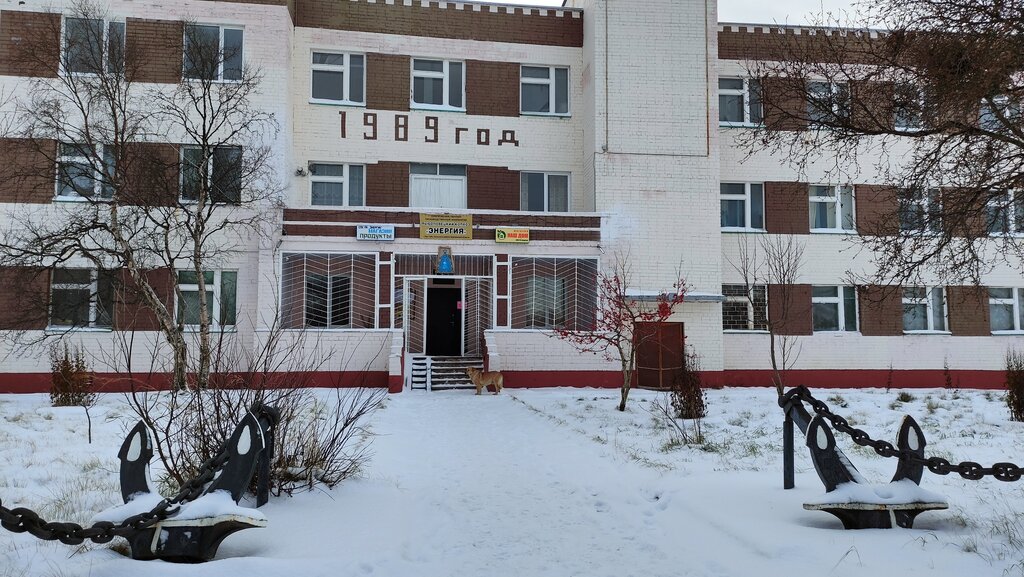 Balık ve deniz ürünleri Rybolovetsky kolkhoz Energiya, Murmanskaya oblastı, foto