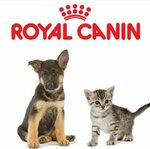 Lusy 2 (ulitsa Lenina No:7), petshop  Losino‑Petrovski'den