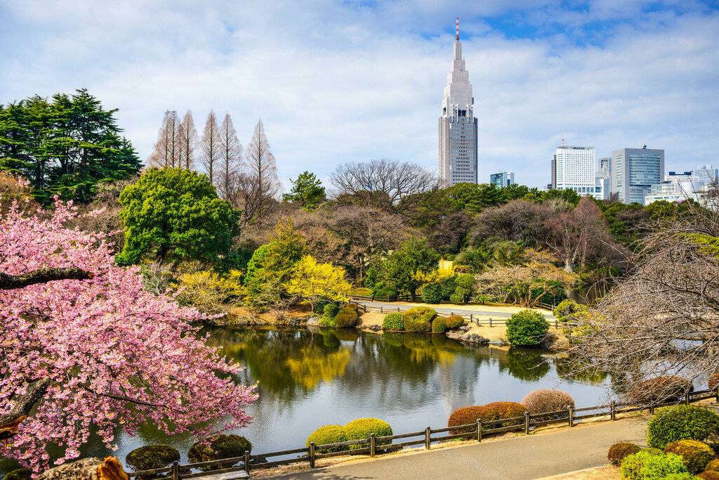 Otel Kimpton Shinjuku Tokyo, Tokyo, foto