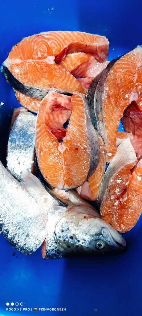 Balık ve deniz ürünleri Fishvoronezh, Voronej, foto