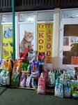 Pet store (ulitsa Nevkipelogo No:14, posyolok Dorokhovo), petshop  Moskova ve Moskovskaya oblastından