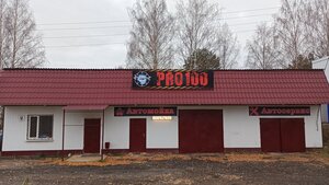  Pro100 (ulitsa Gagarina No:78В), otomobil servisi  Temnikov'dan