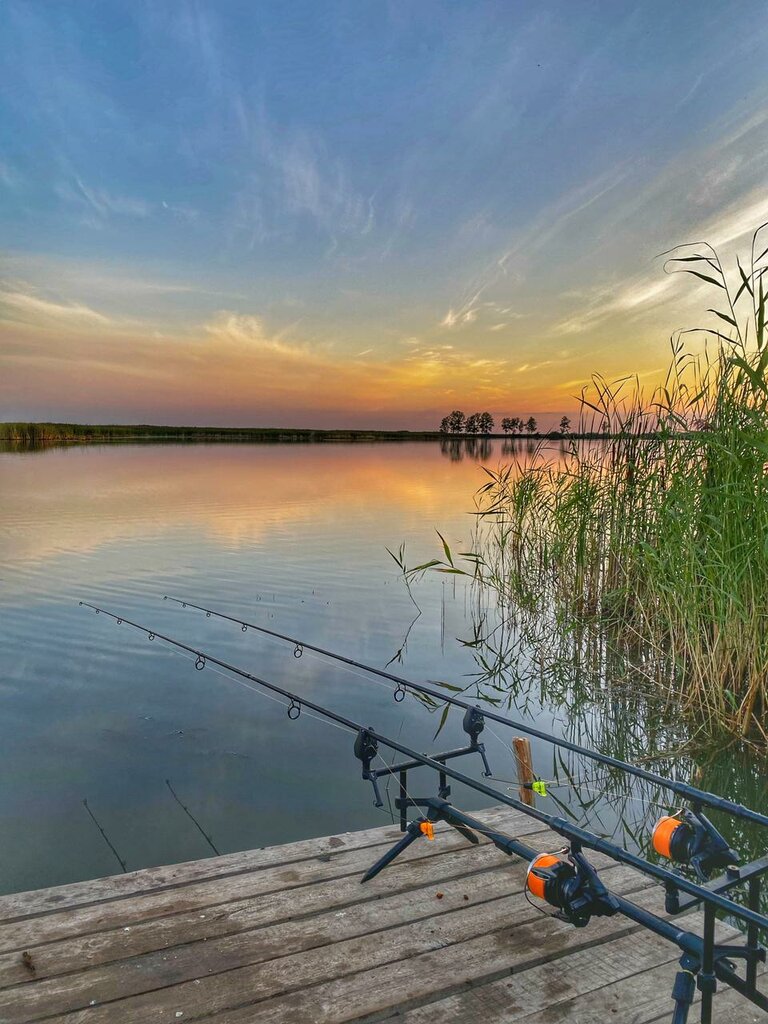 Balık çiftçiliği ve toptancıları Arkuda Platinum, Akmola eyaleti, foto