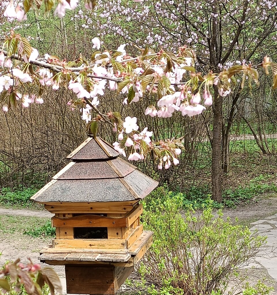Oyun alanı Playground, Moskova, foto