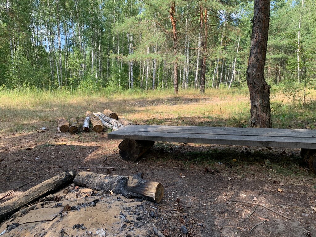 Piknik alanı Место для пикника, Vladimir, foto