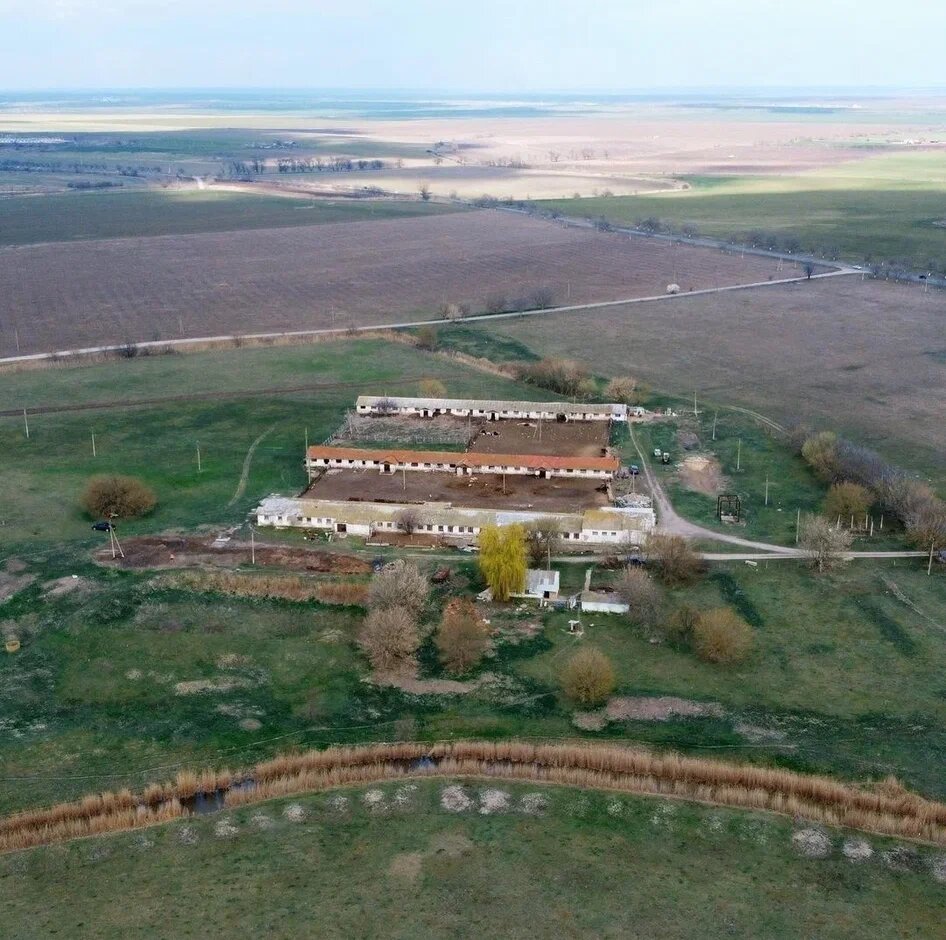 Tarım firmaları Молочный комплекс КРС ООО Осмос, Transdinyester, foto