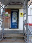 Pivchello (Bratskaya ulitsa No:29), bira dükkanı  Artem'den