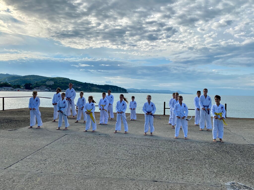 Spor kulüpleri Таеквон-До Итф СК Ударник, Podolsk, foto