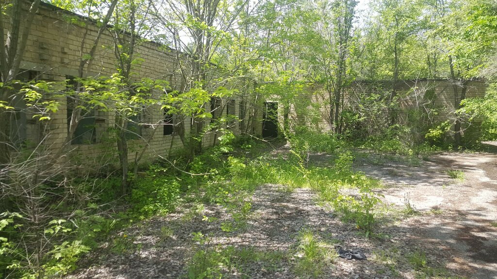 Strikeball Страйкбол в Тольятти, Samarskaya oblastı, foto