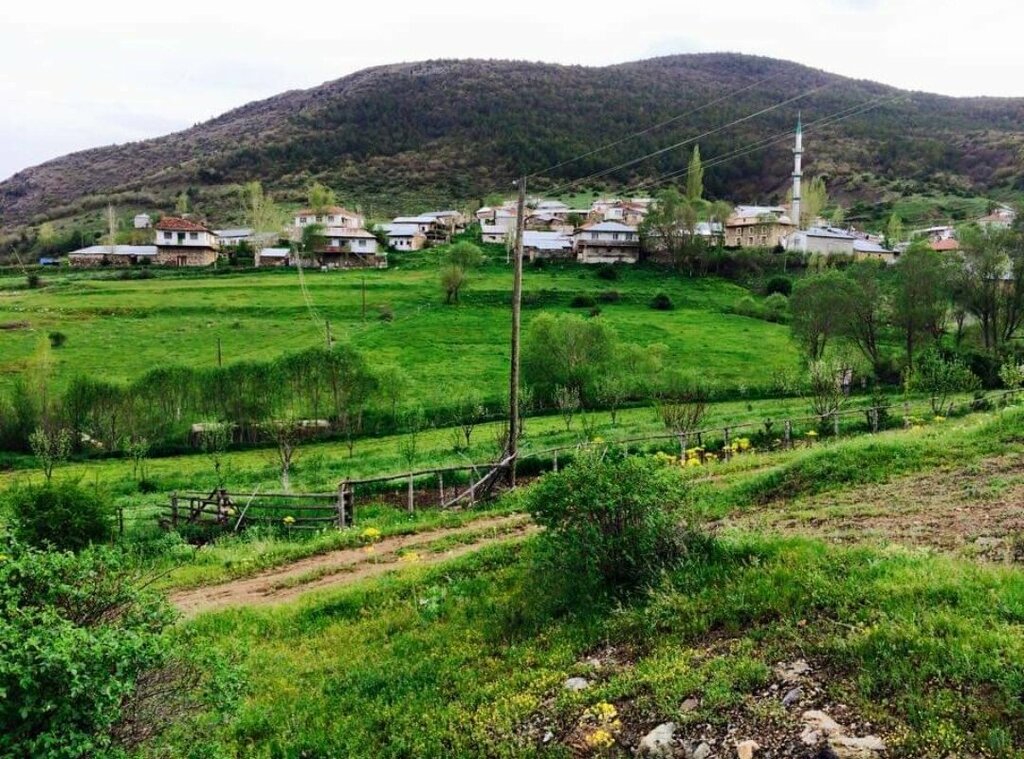 Muhtarlıklar Şen Köy Muhtarlığı, Kelkit, foto
