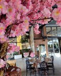Zumamma Cafe & Bakery (İstanbul, Ümraniye, Yamanevler Mah., Ahmet Tevfik İleri Cad., 10/1), kafe  İstanbul'dan
