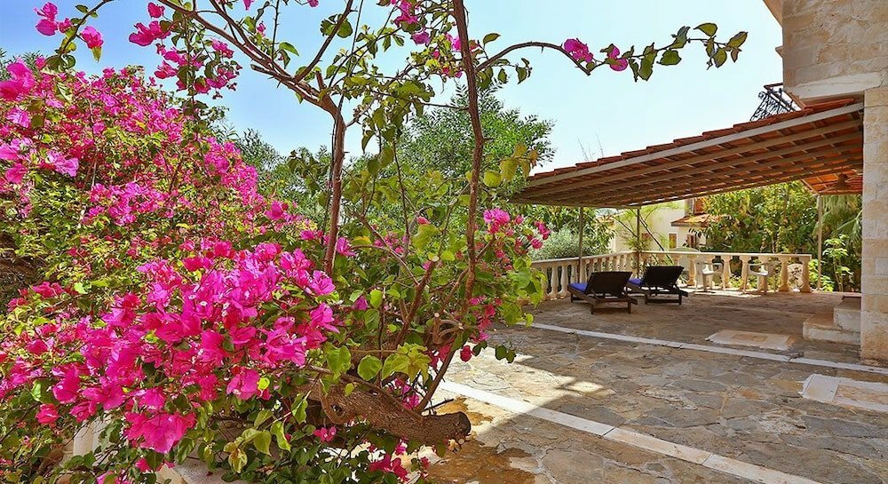 Daireler Kaktus Ada, Kaş, foto