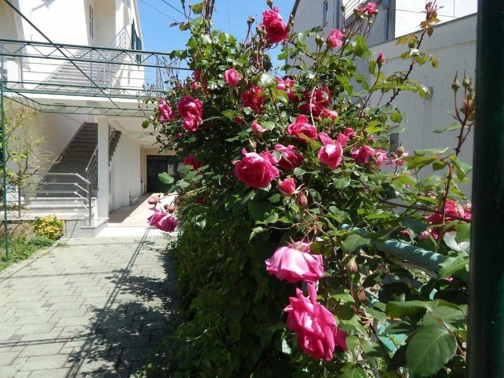 Otel Lemon Tree Apartments, Zadar, foto