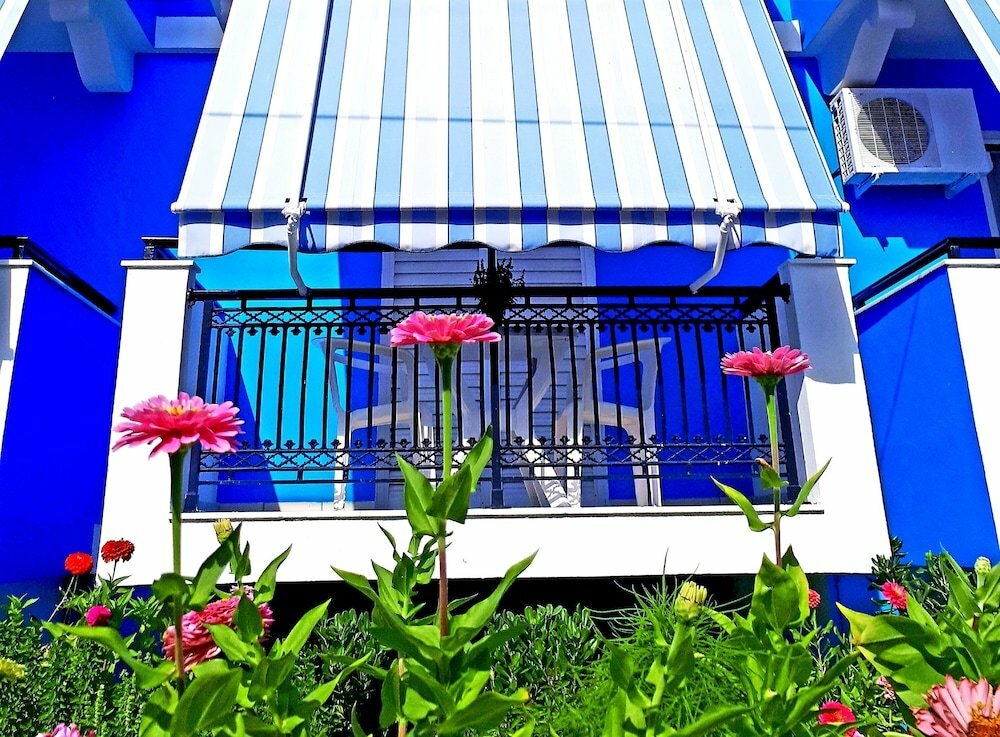 Otel Zante Dahlia, Dünya, foto