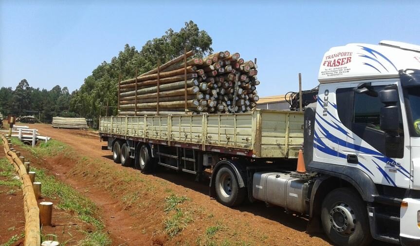 Posta hizmeti Transporte Fraser, Buenos Aires, foto
