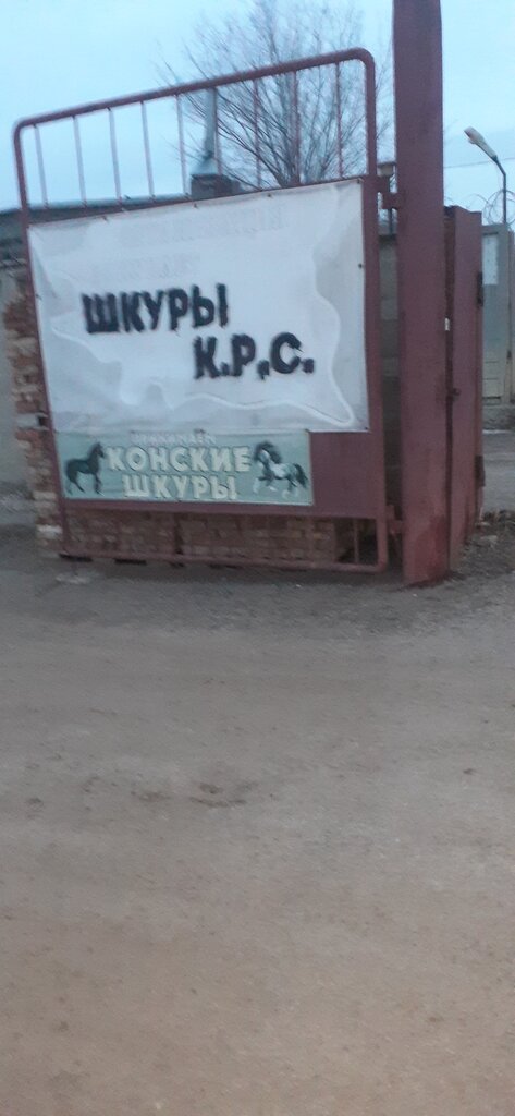 Tarım ürünleri firmaları Шкуры КРС, Samara, foto